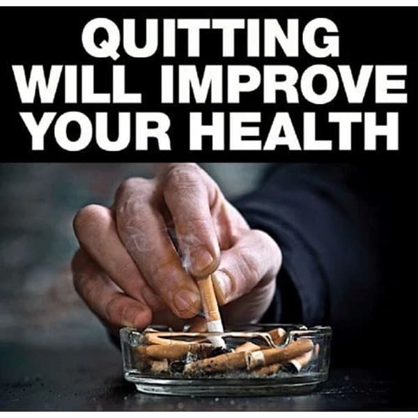 Buy Pax Mini Vaporizer Poppy Online