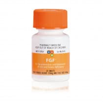 Ferro Tab – Treatment & Prevention of Iron Deficiency Anemia